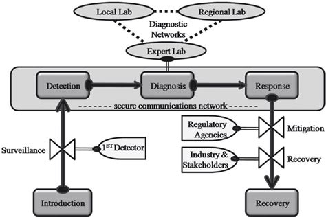 1 A Disease Outbreak Model Commencing At The Introduction Of A Pathogen
