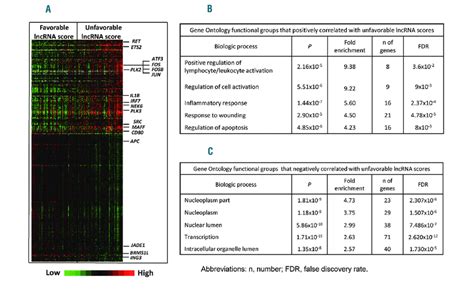 Messenger Rna Mrna Transcripts Which Associate With The Long Download Scientific Diagram
