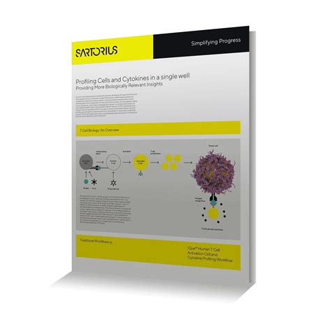 Enhancing Immune Cell Characterization Infographic Sartorius