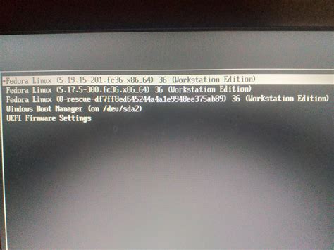duar booting fedora and it shows me this in the grub the second option