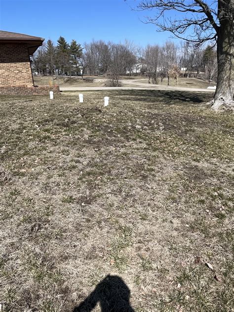 water issue or vermin issue laterals are only a year old and was not