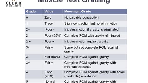 Manual Muscle Testing Clearptconcepts