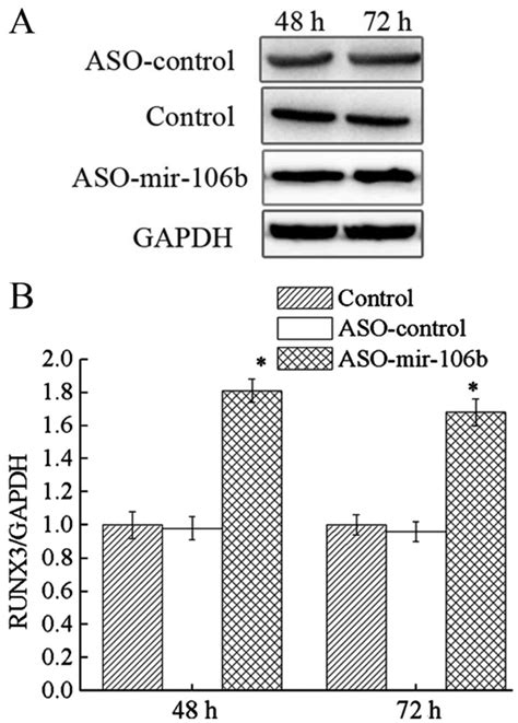 Mir106b Regulates Retinoblastoma Y79 Cells Through Runx3