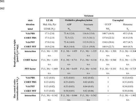 Summary Of High Resolution Respirometry Data 358 Mean Values Sd Are Download Scientific