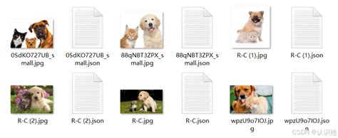 【工具介绍】可以批量查看lableme标注的图像文件信息~labelme查看标签 Csdn博客