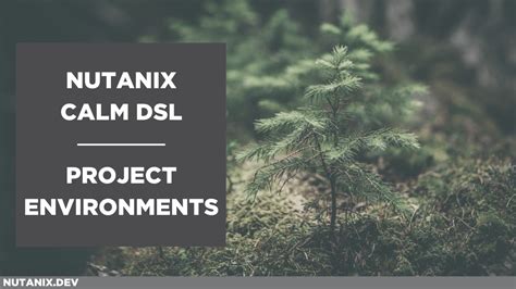 Nutanix Calm DSL Project Environments Nutanix Dev