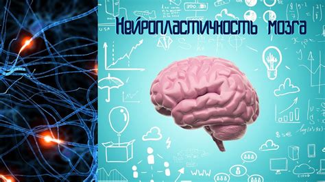 Мозг изменяющий себя сам. Нейропластичность Мозга . Часть 1. - YouTube