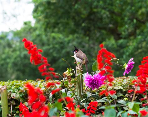 What Is Frame Within A Frame Photography And How Do You Use It