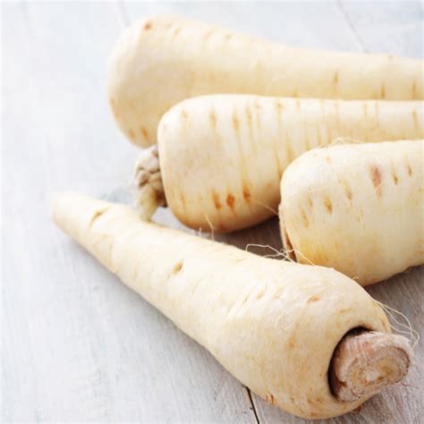 Parsnip Everton Organic — Wildlife And Welfare