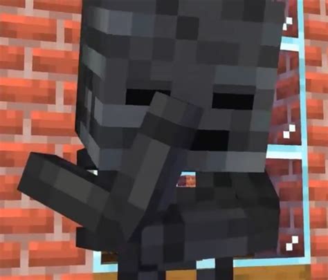 mister Barrel adlı kullanıcının wither skeleton panosundaki Pin