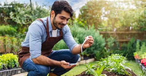 How To Test Soil Temperature For Optimal Plant Growth