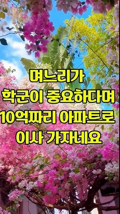 며느리가 학군이 중요하다며 10억짜리 아파트로 이사 가자네요 Youtube