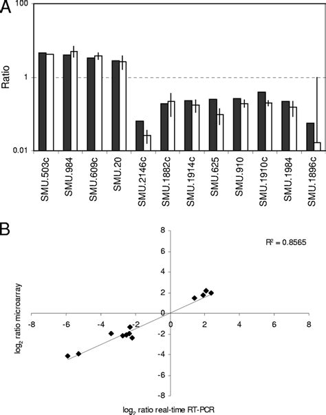 A Comparison Of Microarray Results And Real Time Rtpcr Results