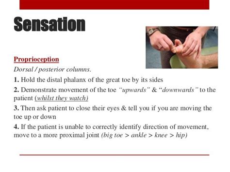 Lower Limb Neurological Examination