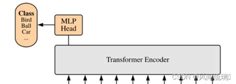 Pytorvh之vision Transformer图像分类transformer图片分类 Csdn博客