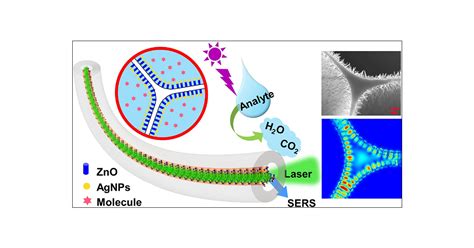 Plasmonic Agzno Nanoscale Villi In Microstructure Fibers For Sensitive And Reusable Surface