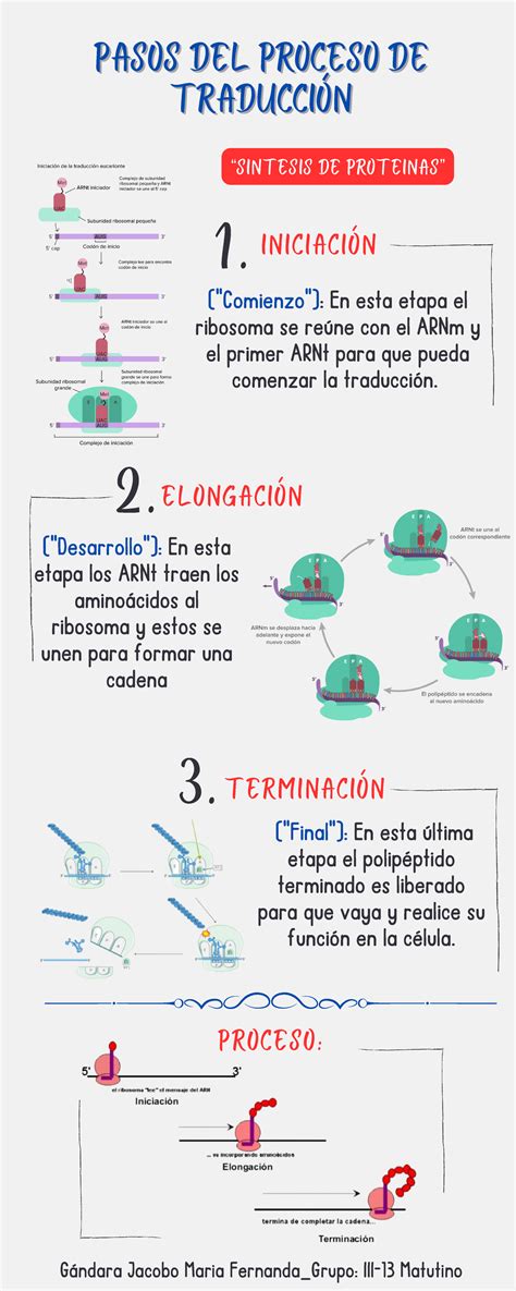 Mfgj Proceso De Traducción 2 1 Comienzo En Esta Etapa El