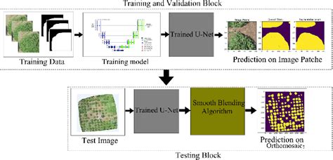 Figure 1 From Uav Sensing Based Semantic Image Segmentation Of Litchi