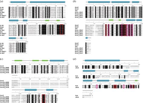 Comparison Of H Ns Like Architectural Proteins And Their Structurally Download Scientific