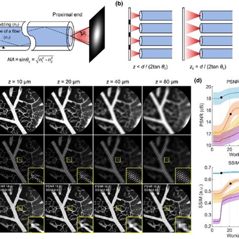 Optimal Working Distance For Reconstruction A Schematic Of The