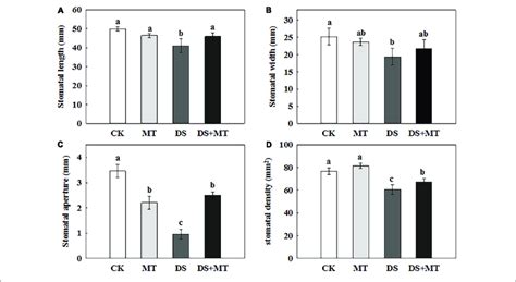 Effects Of Drought And Exogenous Melatonin On Stomatal Download