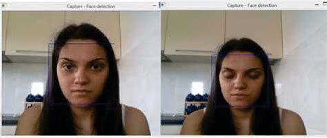 Face Detection Results Download Scientific Diagram
