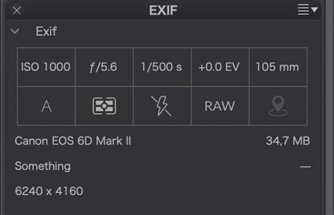 Dxo Pl 7 Does Not Read Exif Data Entered With Exiftool Windows Topics Dxo Forum