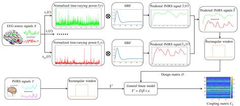 emotion recognition based on a eeg fnirs hybrid brain network in the source space