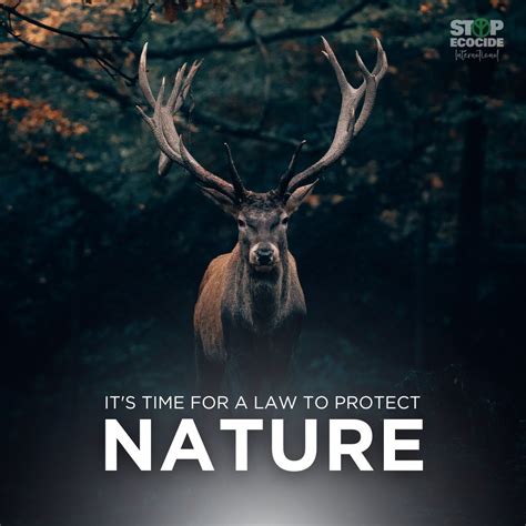 Ecocide Ecocidelaw Stopecocide Endecocide Climatecrisis Stop