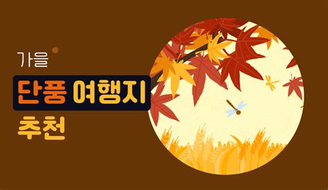 가을축제 가볼만한 곳ㅣ홈런
