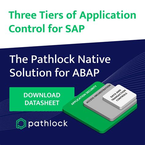 Pathlock On Linkedin Pathlock Native Solution For Abap Solution Sheet
