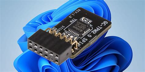 Dos Nuevas Vulnerabilidades Atacan A Tpm 2 0 ¿se Acabó La Excusa De Windows 11