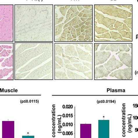 Ttr Expression And T3 Concentration In Age Dependent Differences Of Download Scientific Diagram
