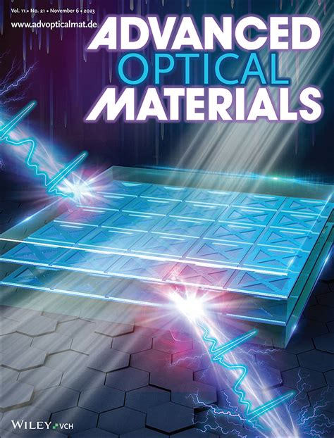 Robust Optical Data Encryption By Projection‐photoaligned Polymer
