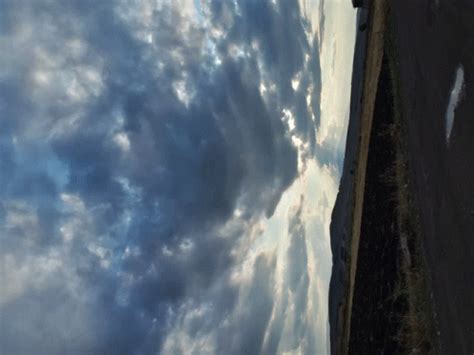 Redhead Meme Redhead Discover Share Gifs