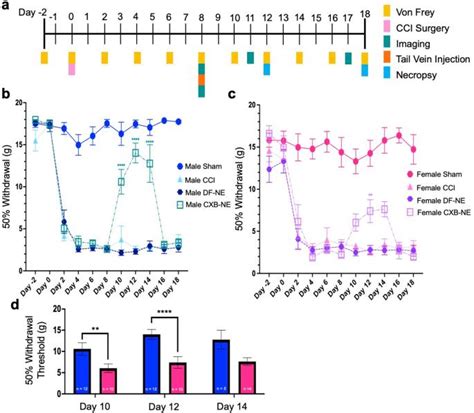 Brooke Deal On Linkedin Behavioral And Inflammatory Sex Differences Revealed By Celecoxib…