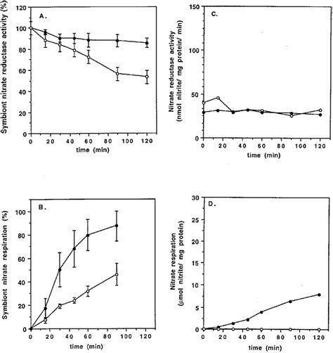 Nitrate Reductase Activities And Nitrate Respiration Rates Of Purified Download Scientific