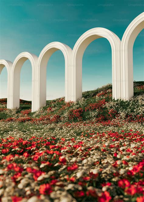 무성한 녹색 언덕 꼭대기에 앉아있는 아치 그룹 사진 Unsplash의 꽃 이미지