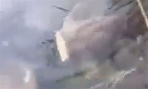 తల లేని చేప ఈత కొడుతోంది వీడియో వైరల్