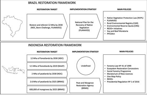 Diagram Showing The Restoration Framework Of Brazil And Indonesia The