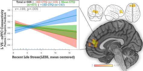 Whole Brain Regression Analyses Indicated That The Interaction Of
