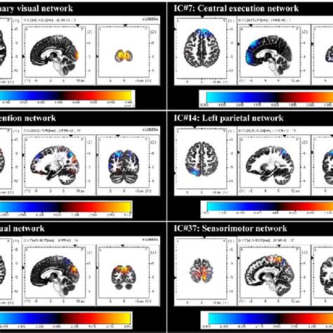 the task activated maps of six selected large scale brain networks t