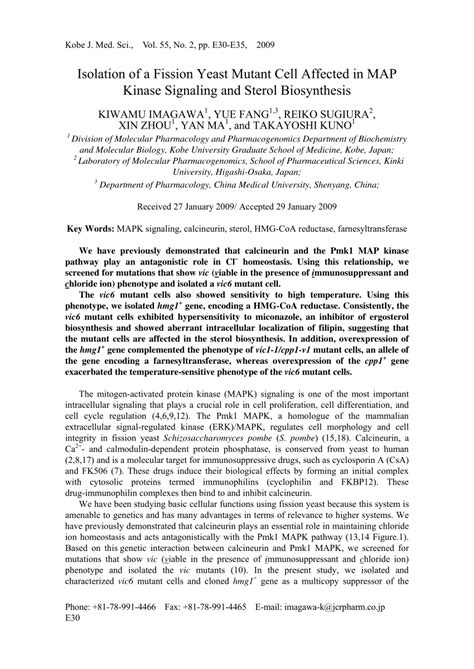 Pdf Isolation Of A Fission Yeast Mutant Cell Affected In Map Kinase Signaling And Sterol
