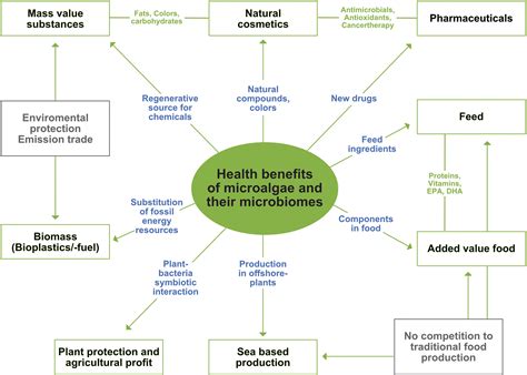 Health Benefits Of Microalgae And Their Microbiomes Krohn 2022