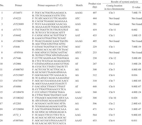List Of Sequences Of SSR Primer Pairs Used In The Validation Of SSR Markers Download Table