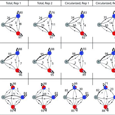 hidden markov modelling reveals differences in tail addition enzyme