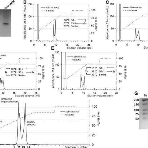 Applying Mono Q Column For Obtaining Nuclease Free Pyrophosphatase