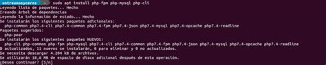 Lemp Nginx Mariadb Y Php Instalaci N En Ubuntu
