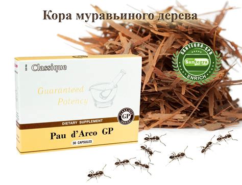 Экстракт коры муравьиного дерева США 350 мг 30 капсул / Растительный ...