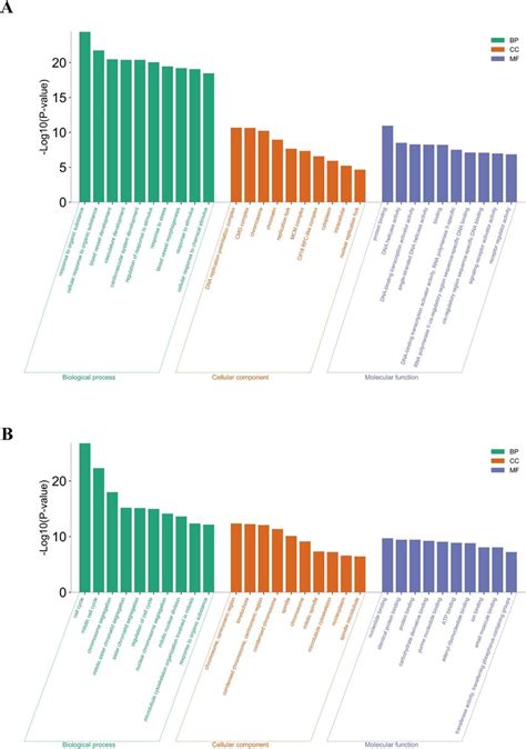 The Go Analysis Based On Rna Sequencing The Enriched Go Terms For The